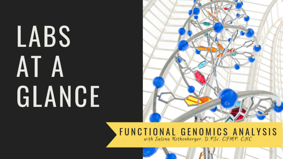Functional Genetics Analysis | The Functional Perspective