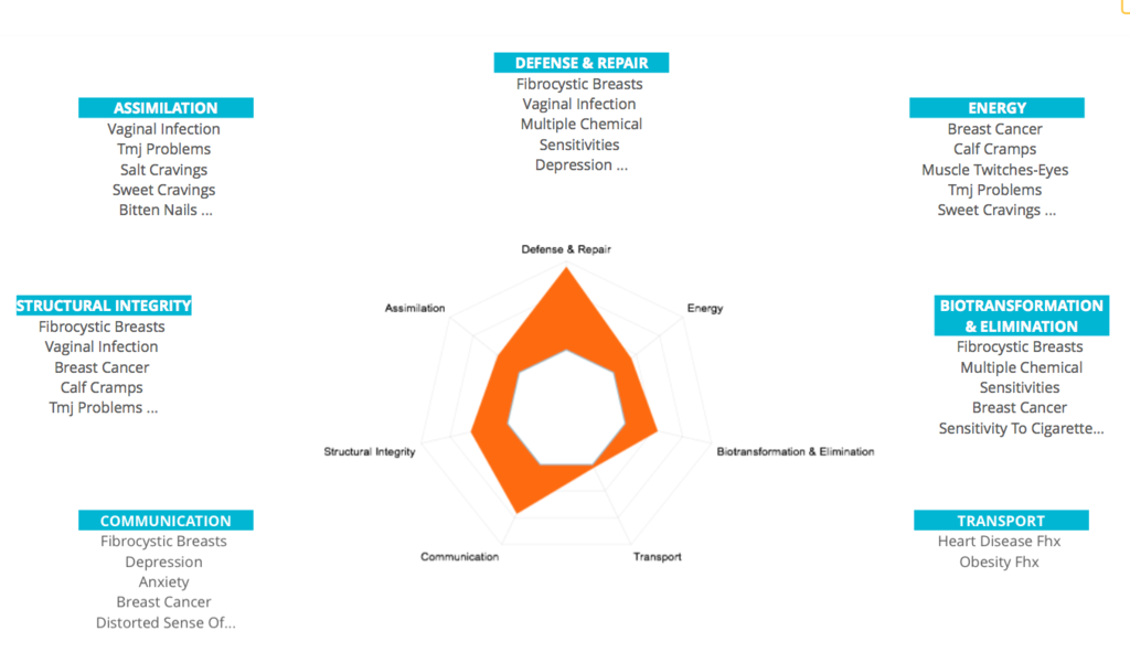 living_matrix_core_imbalance_example | The Functional Perspective